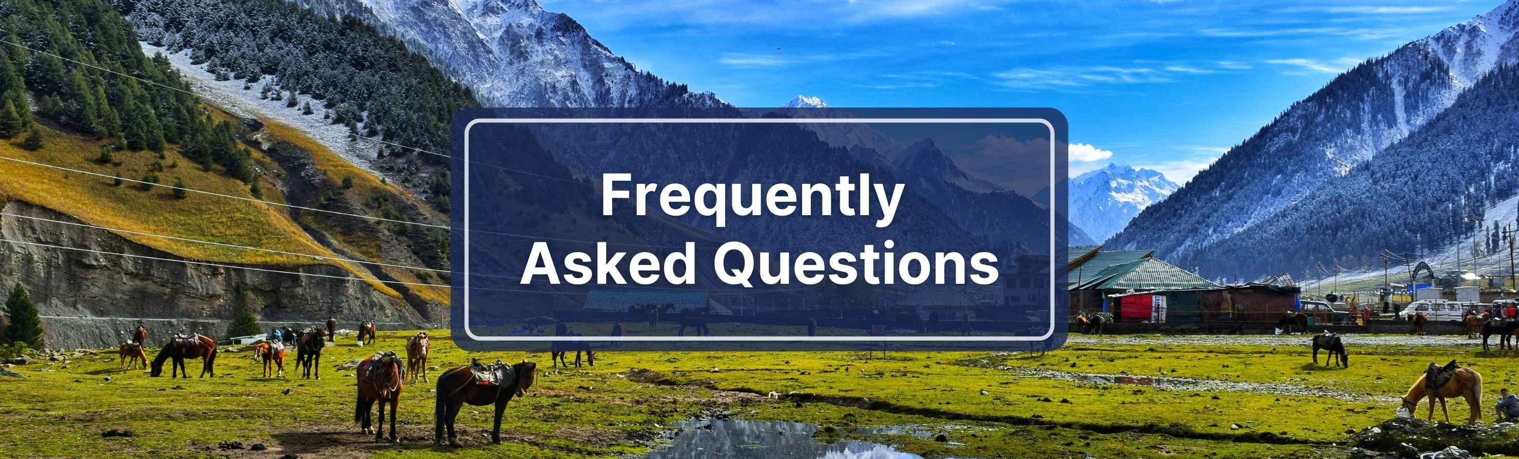 Frequently Ask Questions (FAQs) - Holiday My Planet